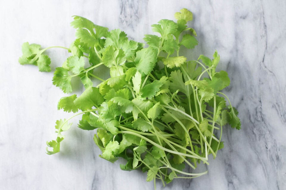 How to Use Fresh Herbs in Cooking | MariaUshakova.com
