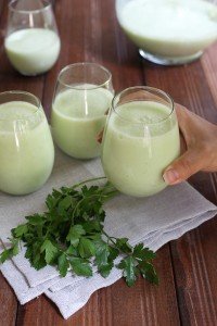 Tan - Armenian Yogurt Drink | MariaUshakova.com