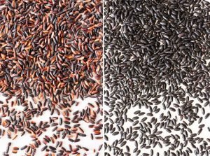 How to Cook Black Rice: the Best Methods + Tips & Tricks ...