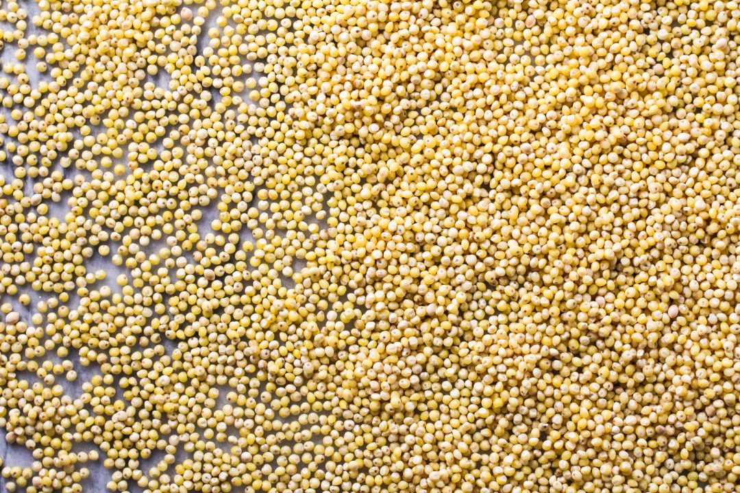 How to Cook Millet: 4 Easy Recipes + Tips & Tricks | MariaUshakova.com