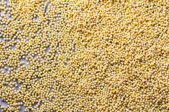 How to Cook Millet: 4 Easy Recipes + Tips & Tricks | MariaUshakova.com