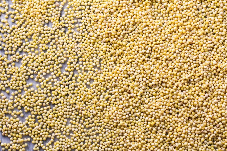 How to Cook Millet: 4 Easy Recipes + Tips & Tricks | MariaUshakova.com