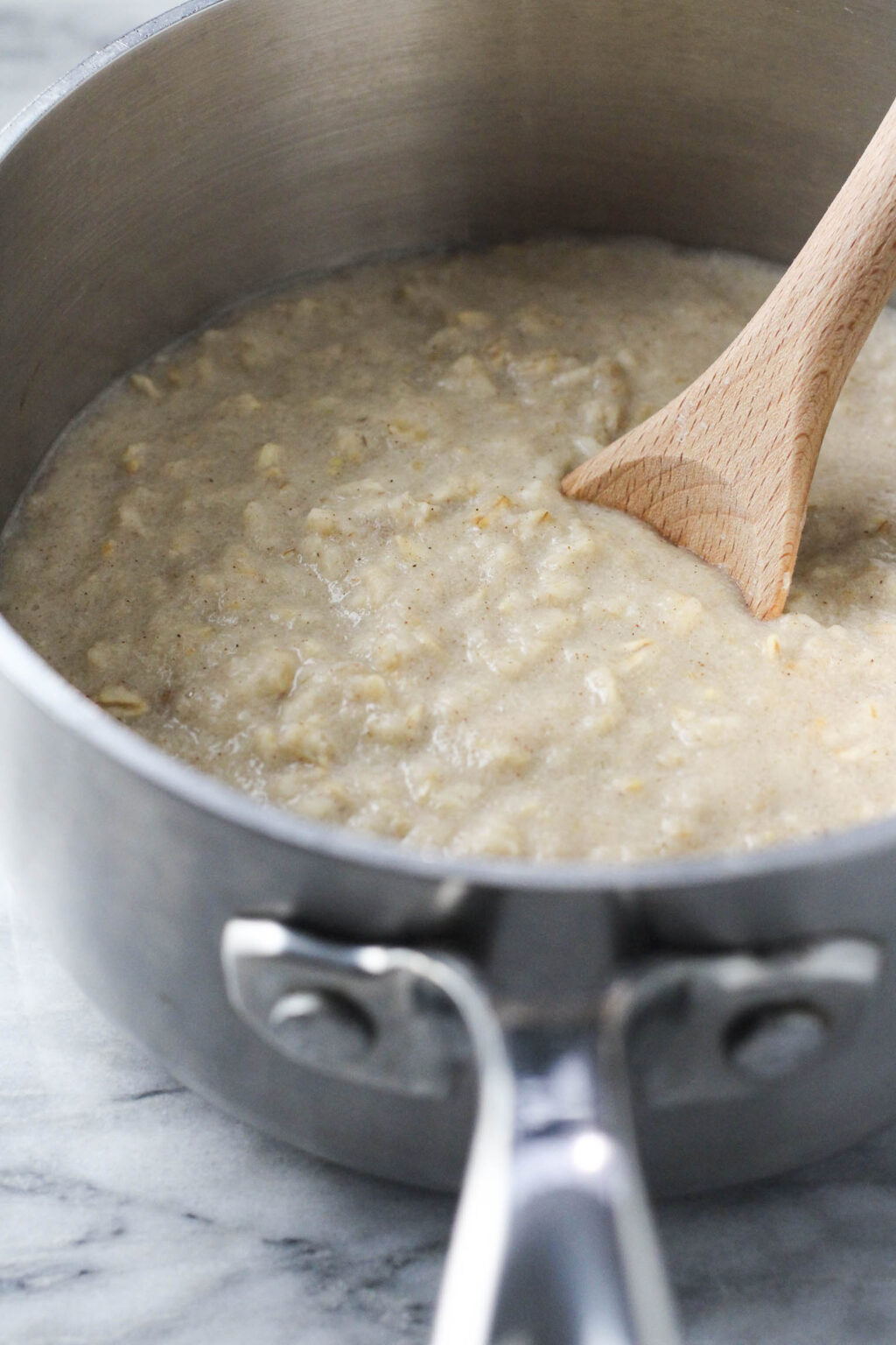 Applesauce Oatmeal Recipe (Quick & Easy) | MariaUshakova.com