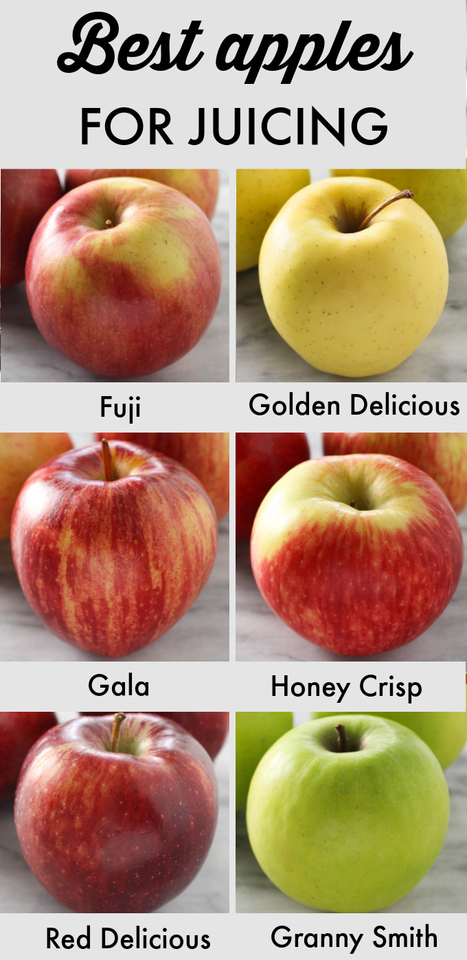 The Best Apples for Juicing (18 Varieties to Try!) | MariaUshakova.com