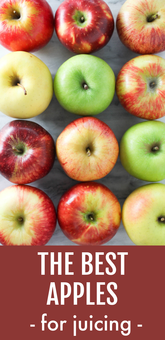 The Best Apples for Juicing (18 Varieties to Try!) | MariaUshakova.com