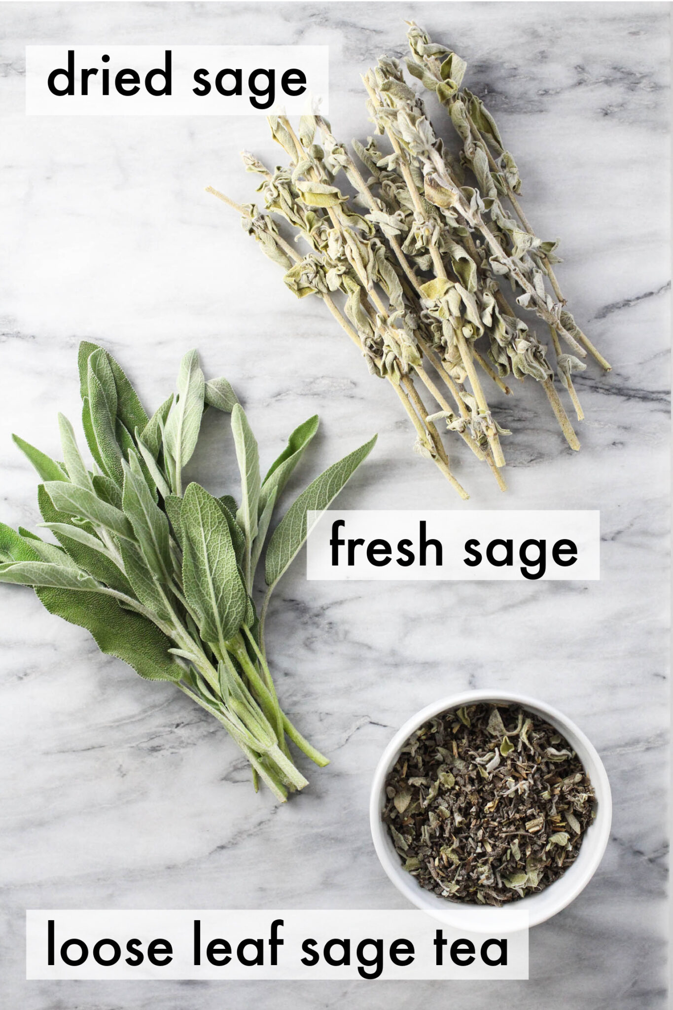 How to Make Sage Tea with Fresh or Dried Sage | MariaUshakova.com