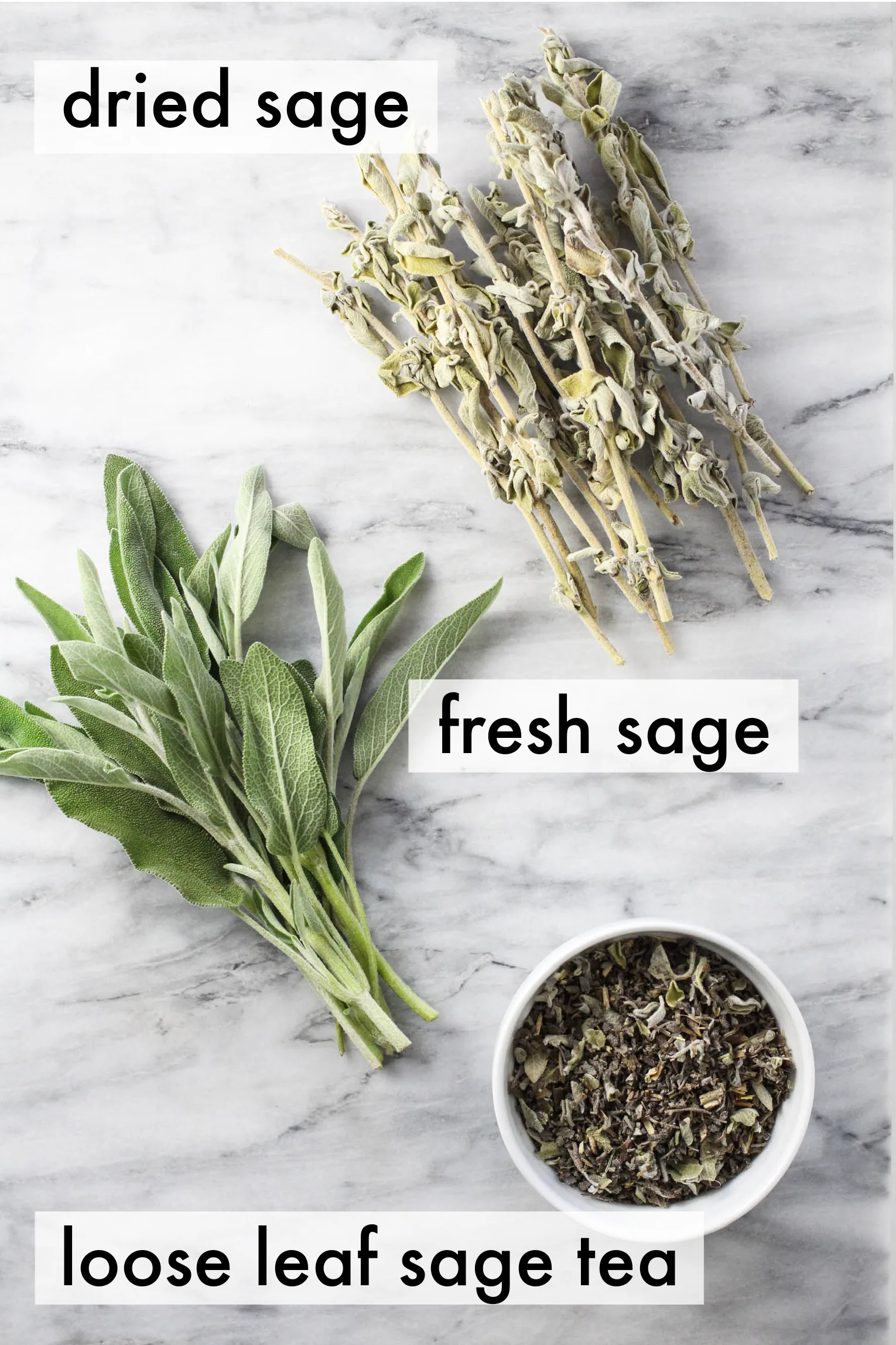 How to Make Sage Tea with Fresh or Dried Sage | MariaUshakova.com