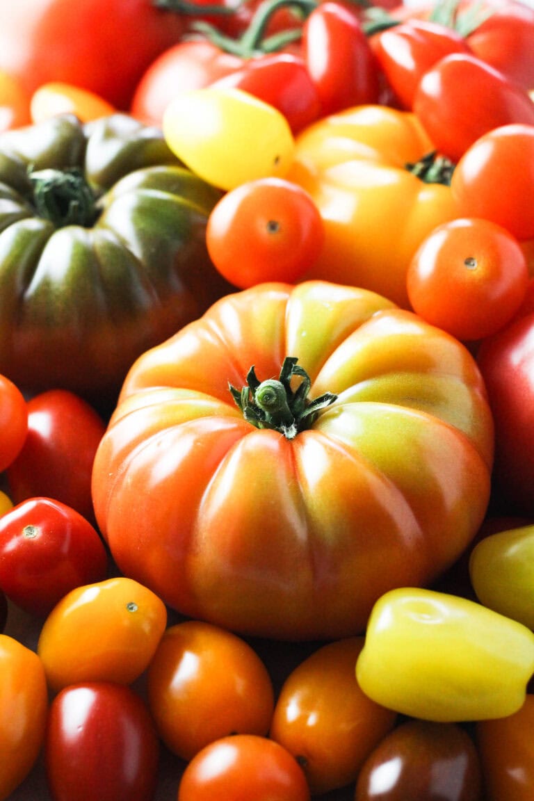 What to Do with Too Many Tomatoes (Ideas, Recipes+Tips) | MariaUshakova.com