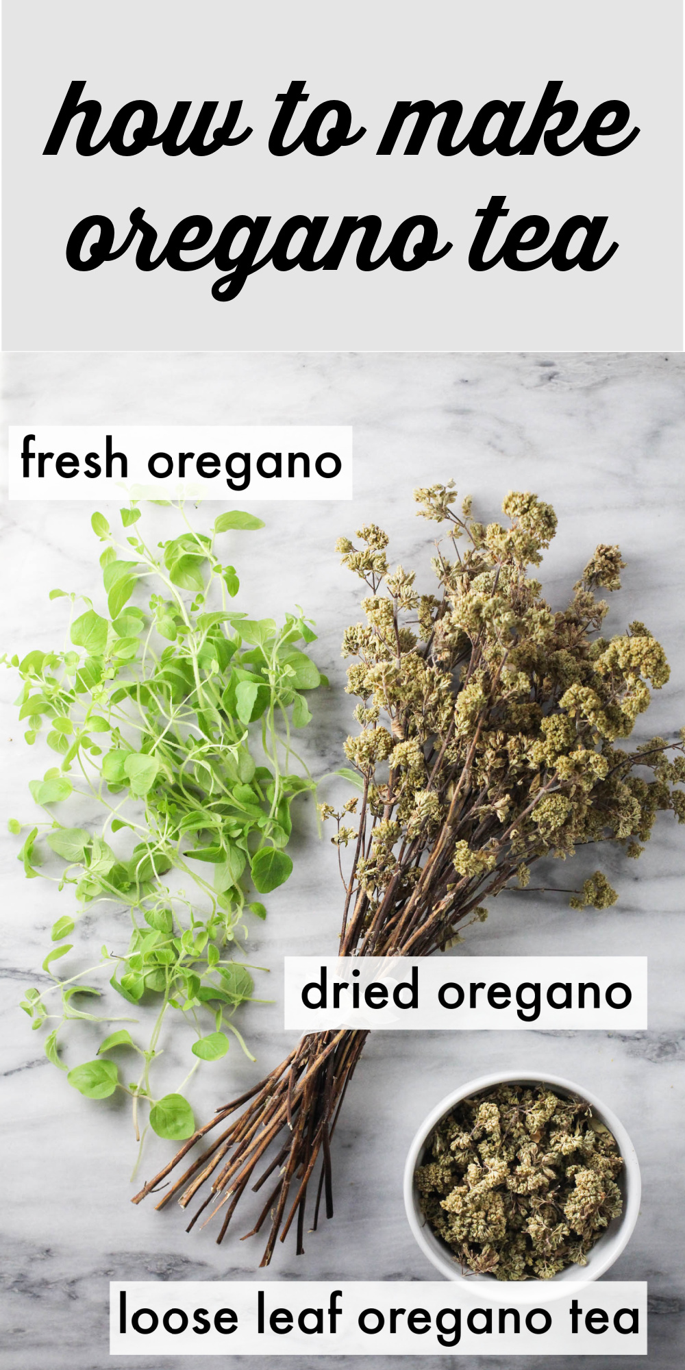 How to Make Oregano Tea with Fresh or Dried Oregano | MariaUshakova.com